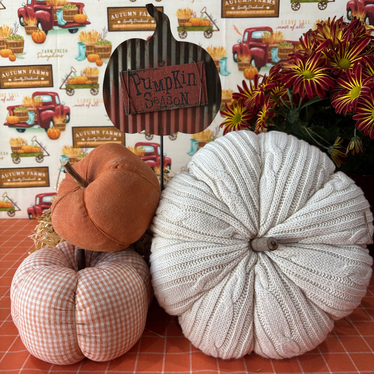 IMG_9369_1200x1200.jpg?v=1727980497